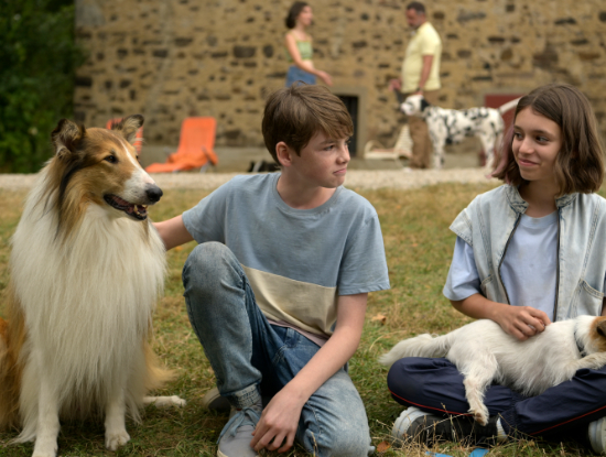 »Lassie. Ein neues Abenteuer« kommt in die Kinos - buchreport