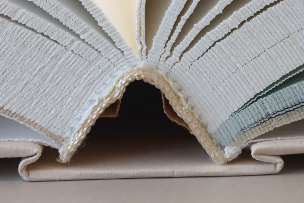 »Shell Reader« ist das »Schönste Buch des Jahres« - buchreport